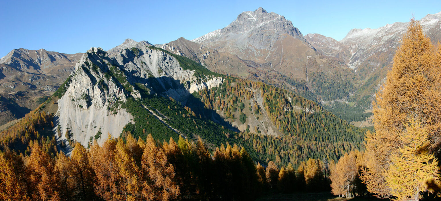 Parco dell'Adamello - Turismo Valle Camonica